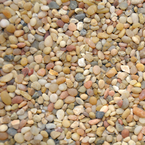 Coral Aggregate, 3/8" – Pebble Tile Mosaics