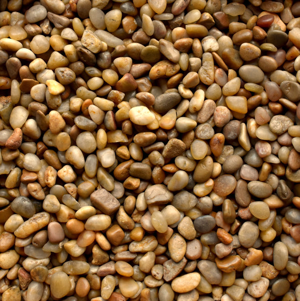 Yellow Polished Pebble ½-¾" – Pebble Tile Mosaics