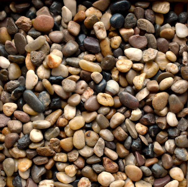Mixed Polished Pebble ½-¾" – Pebble Tile Mosaics