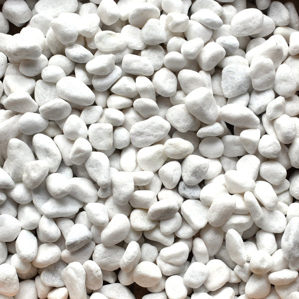 Tumbled Marble Pebble 1/2-1 1/2" – Pebble Tile Mosaics